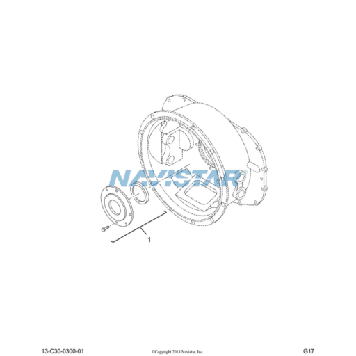 1669353C91 Navistar International | Main Drive Gear Bearing Retainer ...